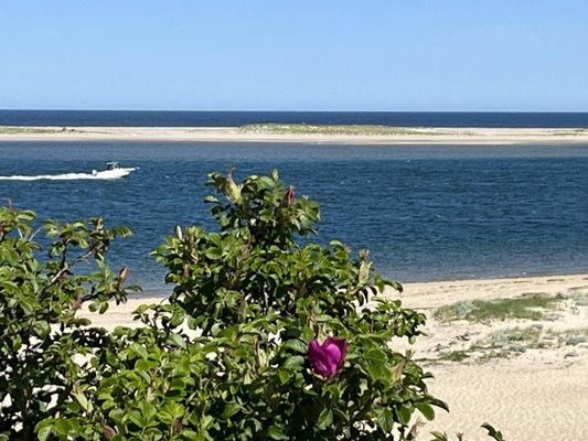 CHATHAM LIGHTHOUSE BEACH - Updated August 2025 - 132 Photos & 34 ...