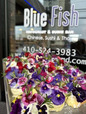 BLUE FISH - Updated October 2024 - 1100 Photos & 552 Reviews - 9401 ...