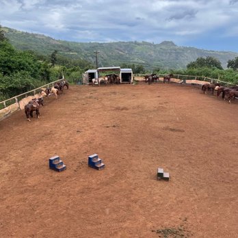 CIRCLE M RANCH - Updated April 2024 - 390 Photos & 243 Reviews - 3530 ...