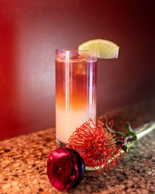 FERN BAR - Updated October 2025 - 192 Photos & 78 Reviews - 2041 ...