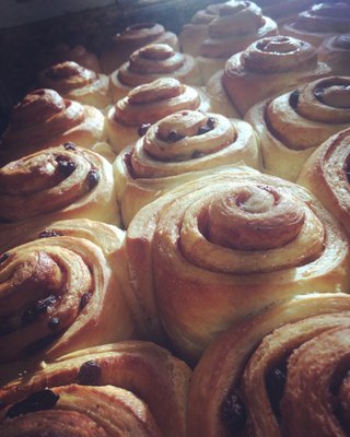 BUN ON THE RUN - 28 Photos & 16 Reviews - 3434 College Rd, Fairbanks ...