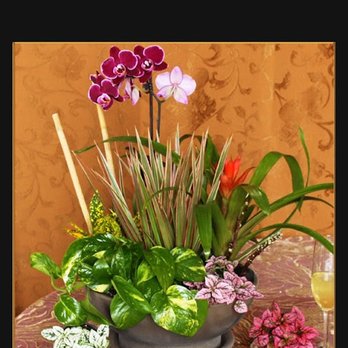 OBERER’S FLOWERS - Updated August 2025 - 60 Photos & 99 Reviews - 1448 ...