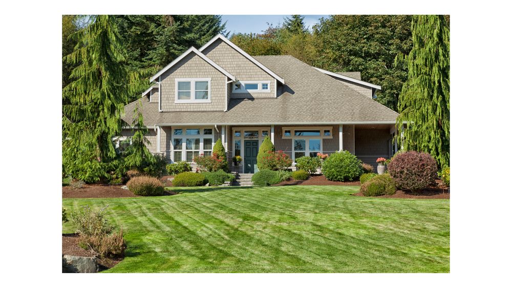 MOSQUITO CHICK - Updated September 2024 - Request a Quote - Eden ...