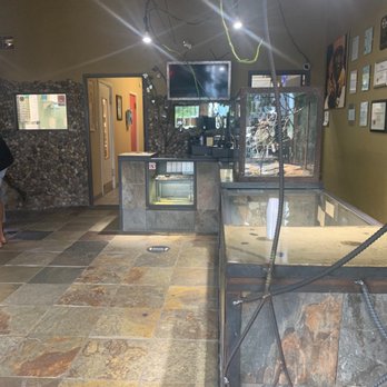 EVOLUTION BODY PIERCING - Updated December 2025 - 93 Photos & 187 ...