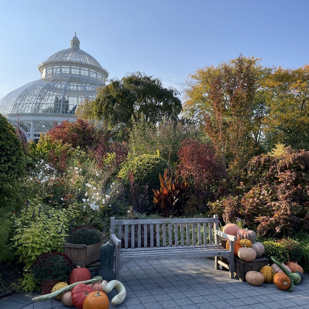 Queens New York Botanical Gardens 📅SAVE THE DATES: Feb 17th Apr