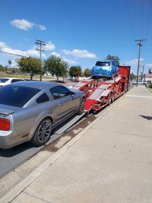 AMERIFREIGHT CAR SHIPPING - Updated January 2026 - 55 Photos & 348 ...