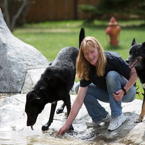 THE PETROPOLITAN - Updated June 2025 - 22 Photos - 101 - 131 9 Avenue ...