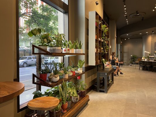 JAVA MAN COFFEE - Updated June 2025 - 173 Photos & 145 Reviews - 508 SW ...