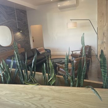 THEORY COFFEE - Updated July 2024 - 33 Photos & 26 Reviews - 228 N Mt ...