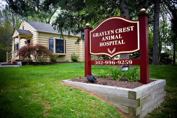 GRAYLYN CREST ANIMAL HOSPITAL - Updated September 2025 - 2006 Marsh Rd ...