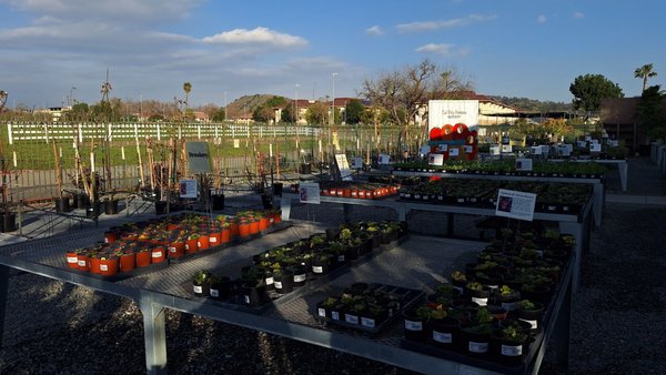 CAL POLY POMONA FARM STORE - Updated January 2026 - 1619 Photos & 228 ...