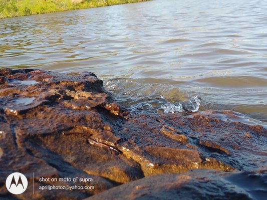 BIRCH LAKE - Updated May 2024 - 25 Photos - Yelp