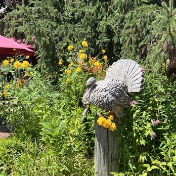 WHITE TURKEY DRIVE-IN - Updated June 2025 - 101 Photos & 115 Reviews ...