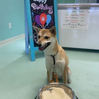 SALTY PAWS CHICS BEACH - Updated July 2025 - 34 Photos - 2104 Pleasure ...