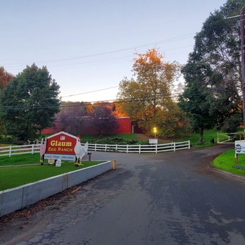 GLAUM EGG RANCH - Updated October 2025 - 72 Photos & 62 Reviews - 3100 ...