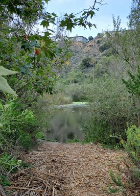 BLUFF TRAIL PARK - Updated January 2026 - 76 Photos & 18 Reviews - 1 W ...