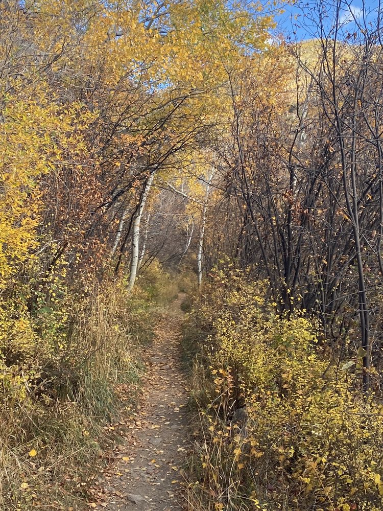 NORTH LOOP TRAIL - 10 Photos - 1796 Buffehr Creek Rd, Vail, Colorado ...