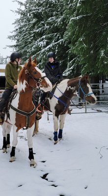 SON RISE RANCH - Updated December 2025 - 50 Photos & 14 Reviews - 24003 ...