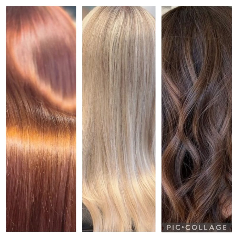 BISHOPS CUTS/COLOR - 157 Photos & 134 Reviews - Lake Forest, California ...