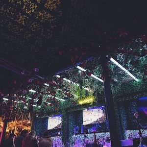 HIGHKEY RAINFOREST ROOFTOP - 192 Photos & 115 Reviews - 6 Platt St, New ...