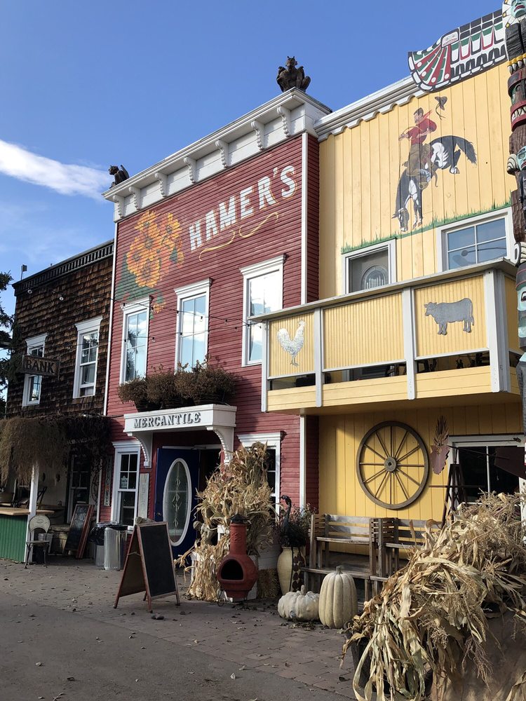 SASKATOON FARM - 254 Photos & 44 Reviews - 20-80181 338 Avenue E, De ...