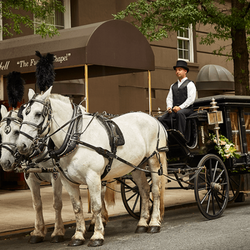 FRANK E. CAMPBELL - THE FUNERAL CHAPEL - 33 Photos & 14 Reviews - 1076 ...