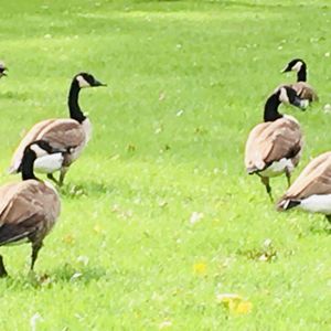 TIPPECANOE RIVER STATE PARK - Updated December 2025 - 34 Photos & 11 ...