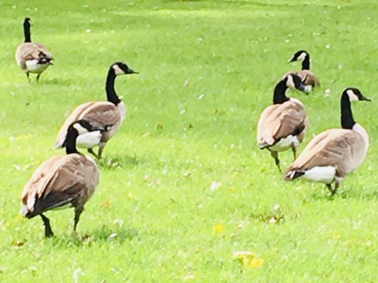 WINAMAC TOWN PARK - Updated August 2025 - 17 Photos - E Old State Rd 14 ...