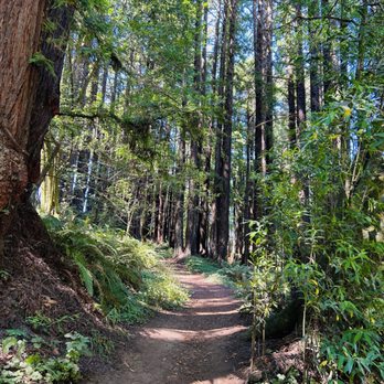 POMO CANYON ENVIRONMENTAL CAMPGROUND - Updated December 2025 - 20 ...