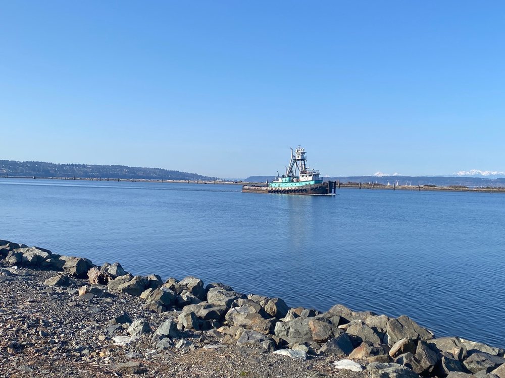 BOXCAR PARK - Updated August 2025 - 11 Photos - 615 13th St, Everett ...