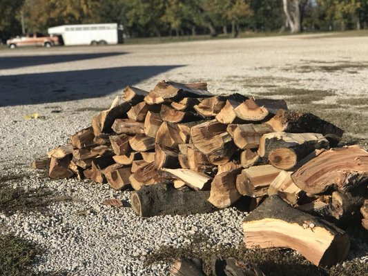 RED BEARD BARBECUE - Updated July 2025 - 34 Photos - 315 S Main St, Gas ...