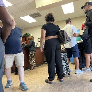 ACE RENT A CAR - Updated April 2025 - 14 Photos & 45 Reviews - 2424 ...