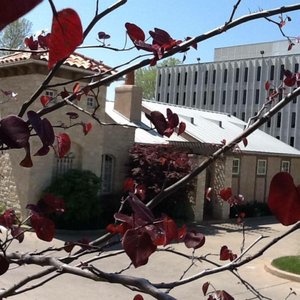 JARA HERRON SALON - Updated July 2025 - 10 Photos - 9168 S Yale Ave ...