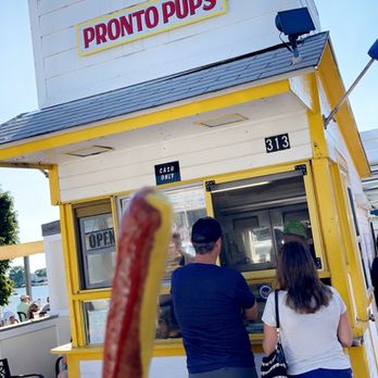 PRONTO PUPS - Updated August 2024 - 239 Photos & 187 Reviews - 313 S ...