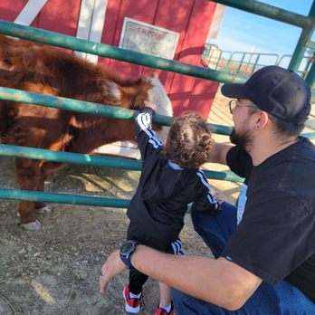 PRANCERS FARM - Updated June 2025 - 143 Photos & 42 Reviews - 18540 E ...