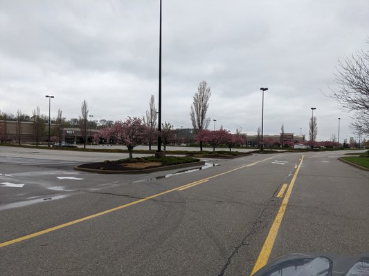 CHESTERFIELD COMMONS - Updated December 2025 - 17384 Chesterfield ...