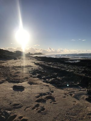 NIMITZ BEACH - Updated July 2024 - 140 Photos & 39 Reviews - Coral Sea ...