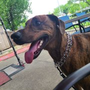 GRESSO’S RESTAURANT AND BAR - 103 Photos & 168 Reviews - Sports Bars ...