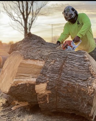 THE TREE GUYS LLC - Updated October 2025 - 51 Photos & 20 Reviews - Ceres, California - Tree ...