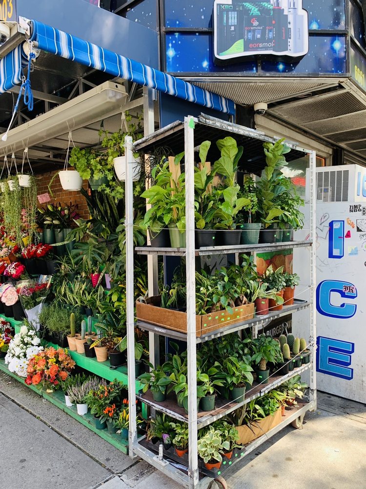 MADISON DELI - Updated August 2025 - 24 Photos - 6661 Fresh Pond Rd ...