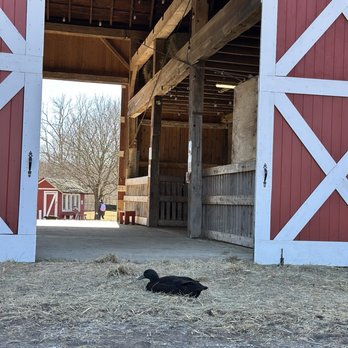 MAYBURY FARM - Updated December 2025 - 70 Photos & 20 Reviews - 50165 8 ...