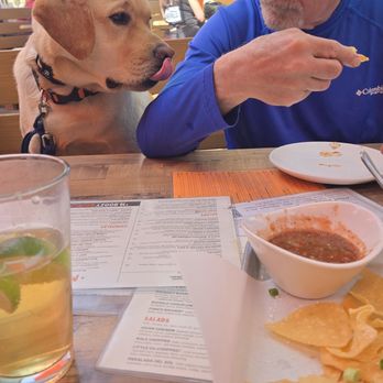 OHSO BREWERY- ARCADIA - Updated May 2025 - 1662 Photos & 1678 Reviews ...