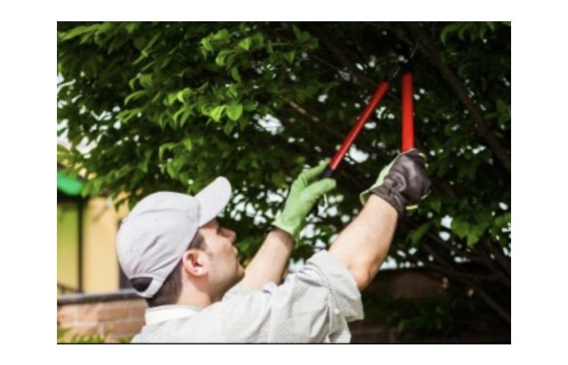 BUSY BS TREE & FENCE - Updated September 2024 - Request a Quote - 24 ...