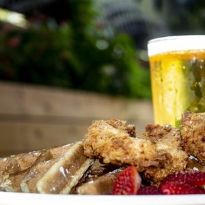 FORT GREENE - 165 Photos & 53 Reviews - Beer Gardens - 321 E 45th Ave ...