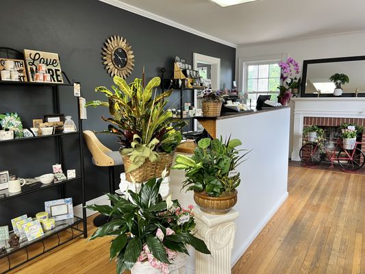 WHITFIELD’S FLOWERS & MORE - Updated May 2026 - 58 Photos & 19 Reviews ...