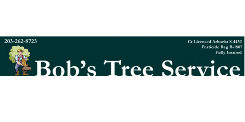 BOB’S TREE SERVICE - Updated April 2025 - 129 Lum Lot Rd, Southbury ...