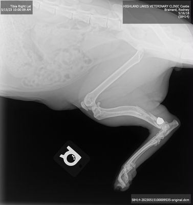HIGHLAND LAKES VETERINARY CLINIC - Updated April 2026 - 28 Photos & 24 ...