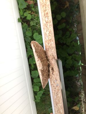 SUDDATH - Updated July 2025 - 27 Photos & 99 Reviews - 2020 South 10th ...