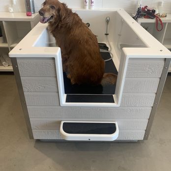 BUBBLY PAWS - Updated August 2024 - 33 Photos & 29 Reviews - 22421 El ...