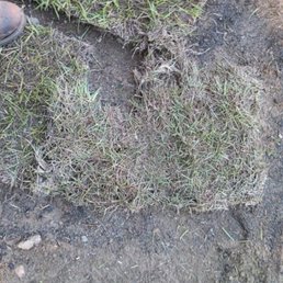 Super-Sod Reviews | Read Customer Service Reviews of supersod.com